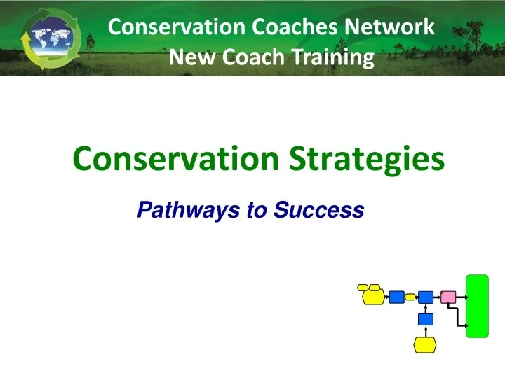 PPT - Conservation Strategies PowerPoint Presentation, free download ...