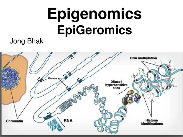 PPT - Epigenomics EpiGeromics PowerPoint Presentation, free download ...
