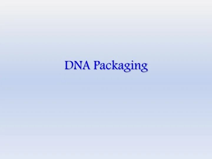 PPT - DNA Packaging PowerPoint Presentation, free download - ID:9468259
