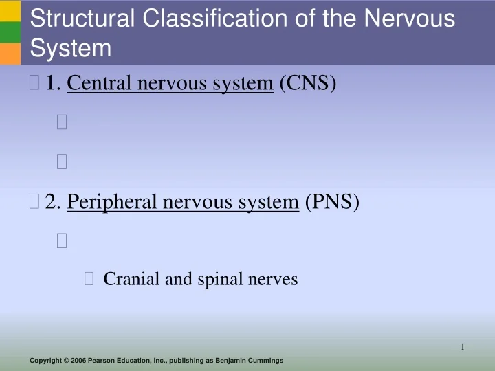 PPT - Structural Classification of the Nervous System PowerPoint ...