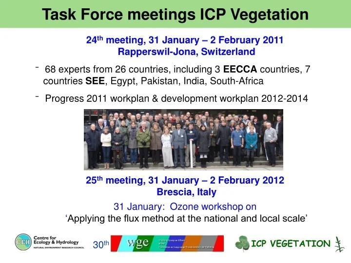 PPT - Task Force meetings ICP Vegetation PowerPoint Presentation, free ...