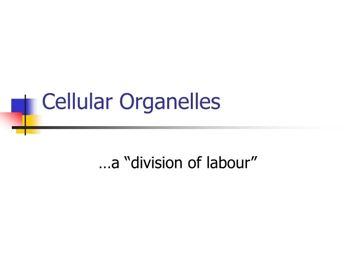 PPT - Cellular Organelles PowerPoint Presentation, free download - ID ...