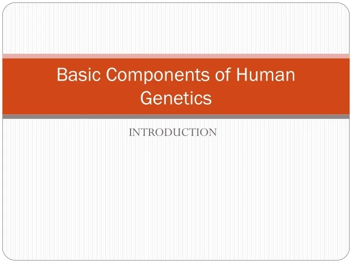 PPT - Basic Components of Human Genetics PowerPoint Presentation, free ...