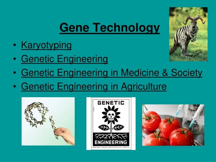 PPT - Gene Technology PowerPoint Presentation, free download - ID:9479782
