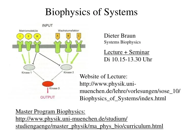 PPT - Biophysics of Systems PowerPoint Presentation, free download - ID ...