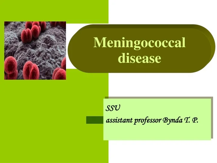 Ppt Meningococcal Disease Powerpoint Presentation Free Download Id
