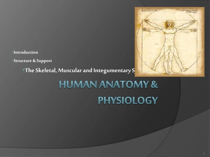 PPT - Human Anatomy & Physiology PowerPoint Presentation, free download ...