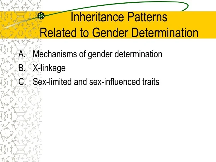 PPT - Inheritance Patterns Related to Gender Determination PowerPoint ...
