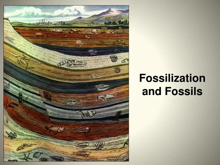 PPT - Fossilization and Fossils PowerPoint Presentation, free download ...
