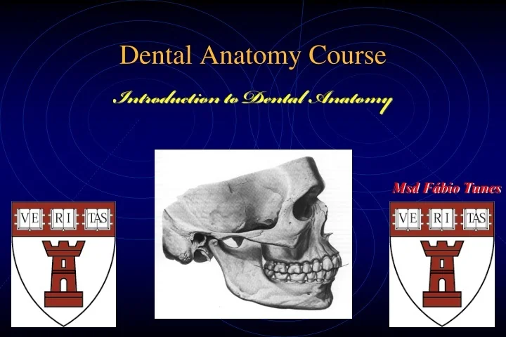 PPT - Dental Anatomy Course PowerPoint Presentation, free download - ID ...