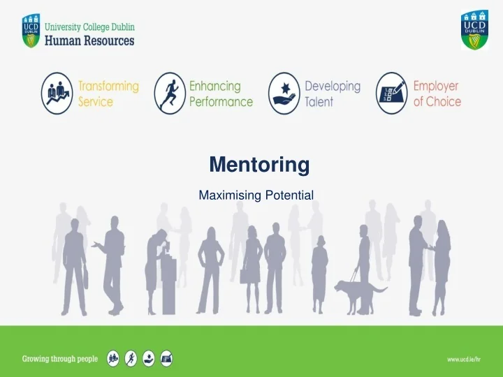 PPT - Mentoring PowerPoint Presentation, free download - ID:9493256