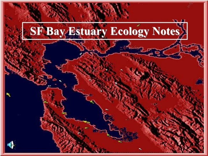 PPT - SF Bay Estuary Ecology Notes PowerPoint Presentation, free ...