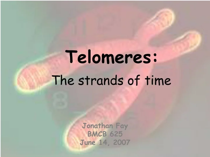 PPT - Telomeres: PowerPoint Presentation, free download - ID:9495393