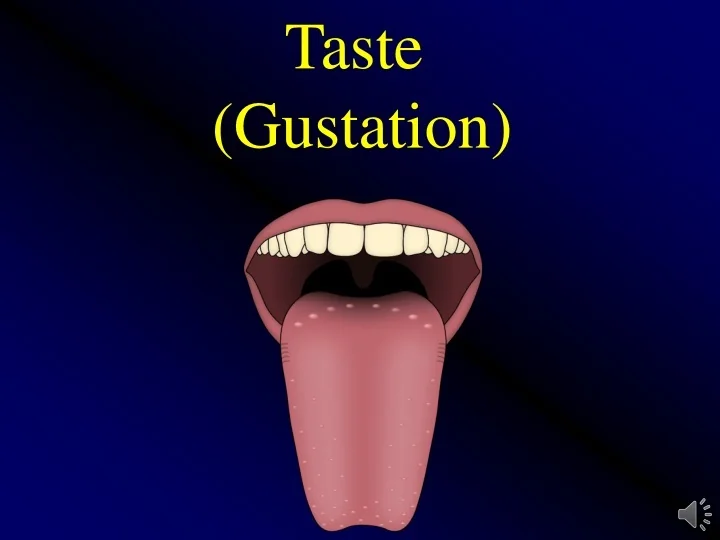PPT - Taste (Gustation) PowerPoint Presentation, free download - ID:9495875