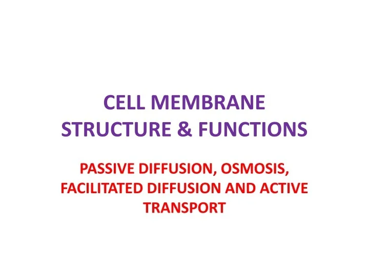 PPT - CELL MEMBRANE STRUCTURE & FUNCTIONS PowerPoint Presentation - ID:9496122