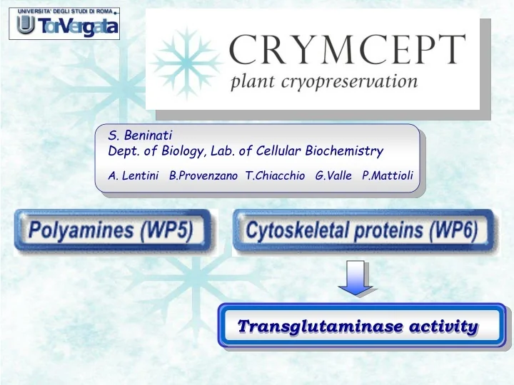 PPT - Transglutaminase activity PowerPoint Presentation, free download ...