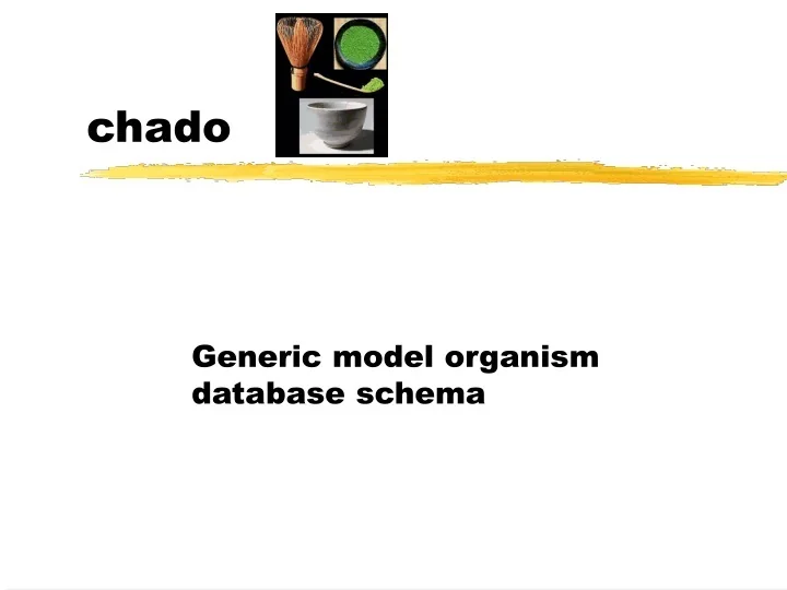 PPT - chado PowerPoint Presentation, free download - ID:9502306