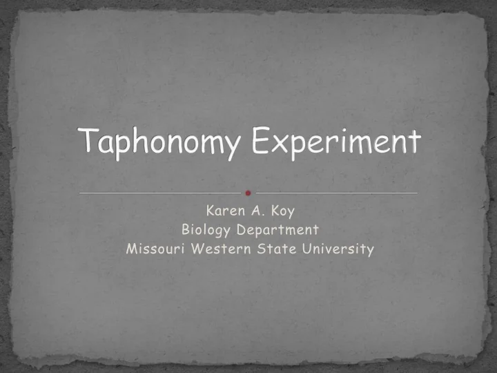 PPT - Taphonomy Experiment PowerPoint Presentation, free download - ID ...