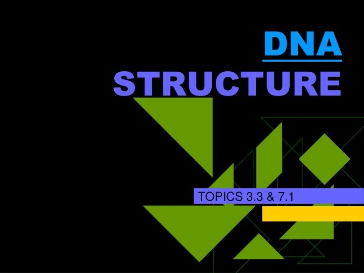 PPT - DNA STRUCTURE PowerPoint Presentation, free download - ID:9503384