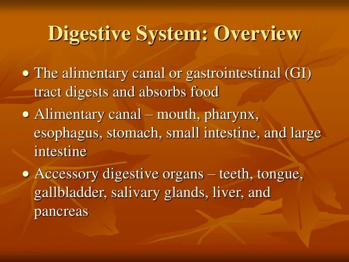 PPT - Digestive System: Overview PowerPoint Presentation, free download ...