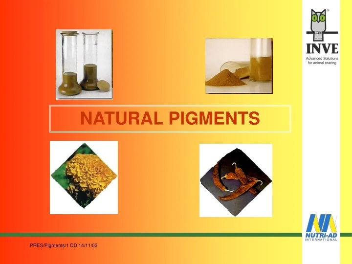PPT - NATURAL PIGMENTS PowerPoint Presentation, free download - ID:9505402