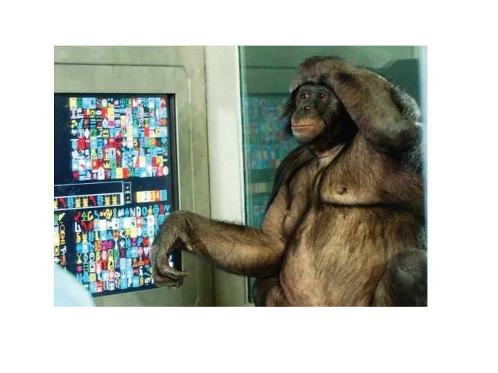 PPT - Critique of Primate Sign Language Research PowerPoint ...