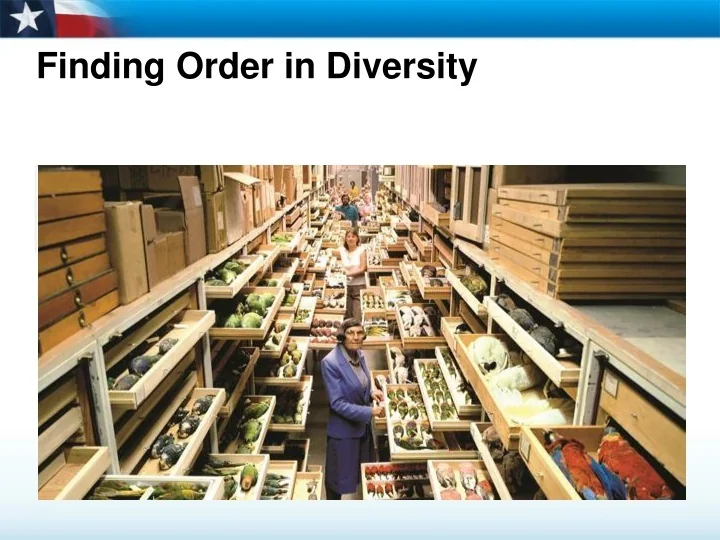 PPT - Finding Order in Diversity PowerPoint Presentation, free download ...