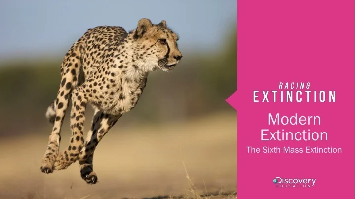 PPT - Modern Extinction PowerPoint Presentation, free download - ID:9509460