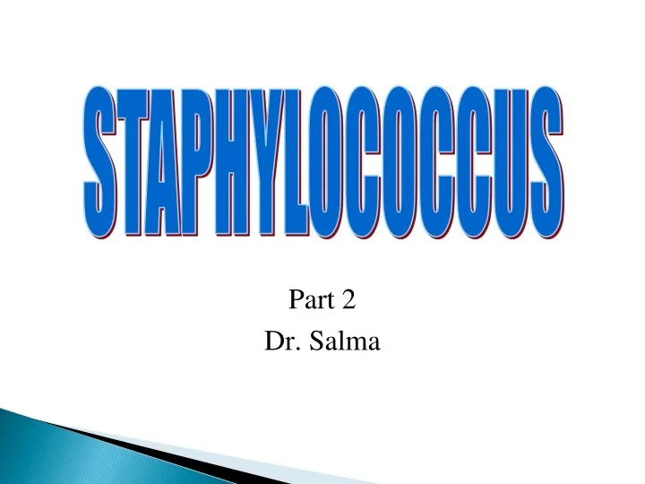 PPT - STAPHYLOCOCCUS PowerPoint Presentation, free download - ID:9514694