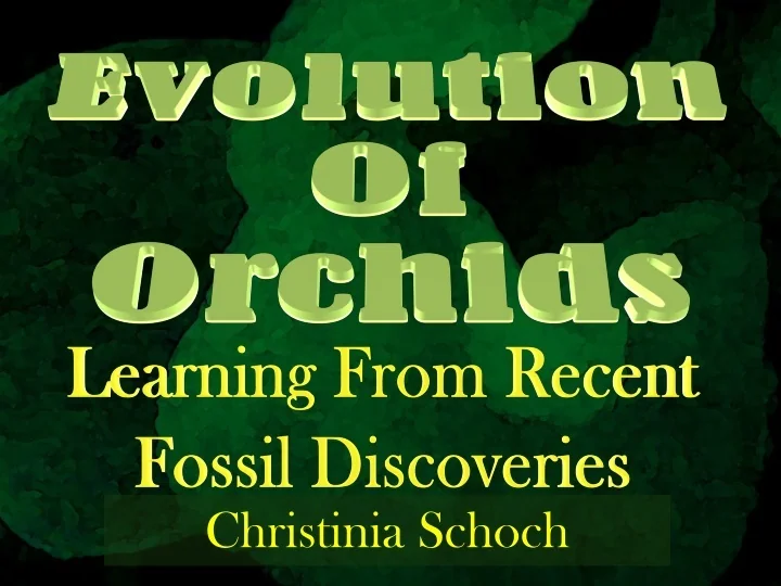 PPT - Evolution Of Orchids PowerPoint Presentation, free download - ID ...