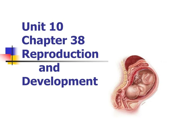 PPT - Unit 10 Chapter 38 Reproduction and Development PowerPoint ...