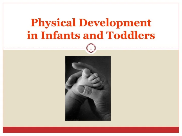 PPT - Physical Development in Infants and Toddlers PowerPoint ...