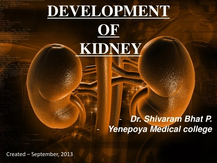 PPT - DEVELOPMENT OF KIDNEY PowerPoint Presentation, free download - ID ...