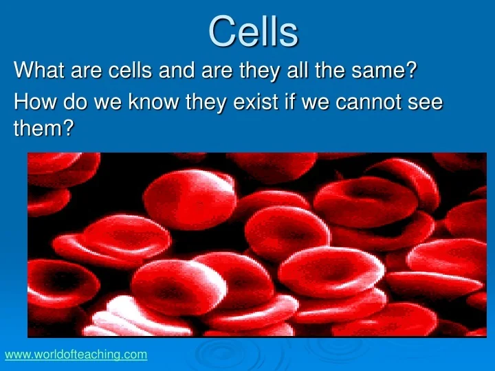 PPT - Cells PowerPoint Presentation, free download - ID:9523235
