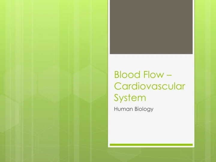 PPT - Blood Flow – Cardiovascular System PowerPoint Presentation, free ...
