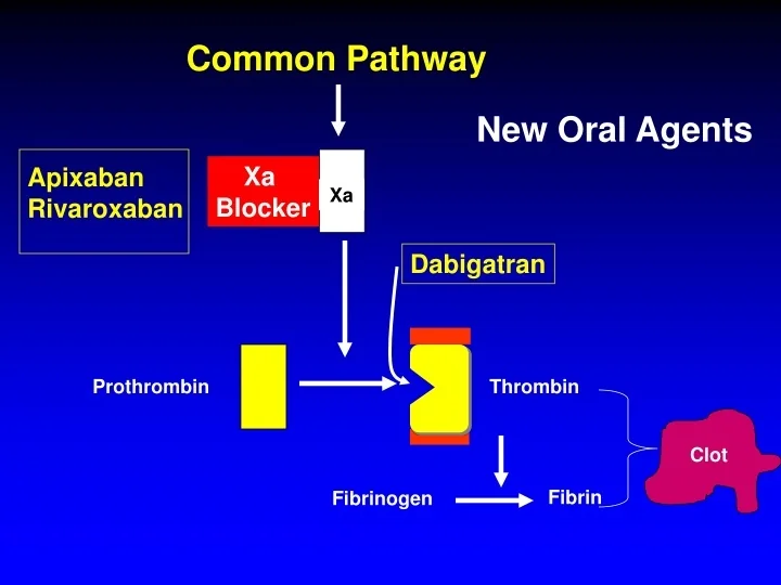 PPT - Fibrinogen PowerPoint Presentation, free download - ID:9527702