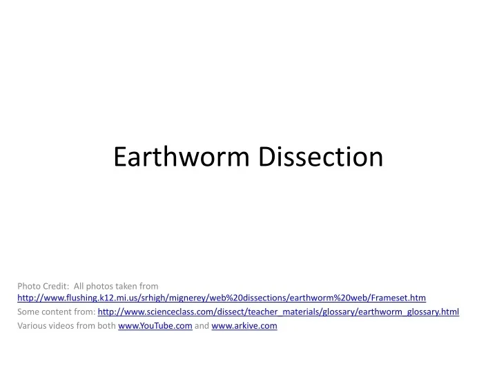 PPT - Earthworm Dissection PowerPoint Presentation, free download - ID:9529884