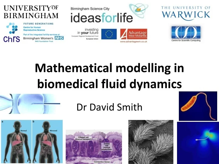 PPT - Mathematical modelling in biomedical fluid dynamics PowerPoint ...