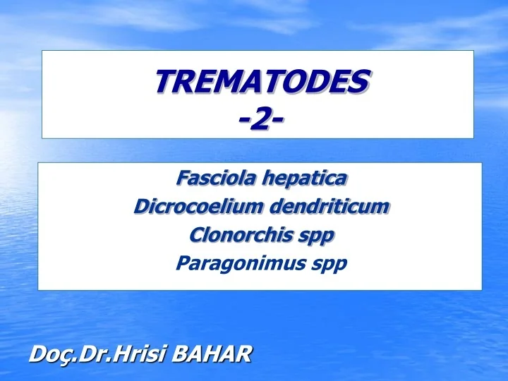 PPT - TREMATODES -2- PowerPoint Presentation, free download - ID:9531695