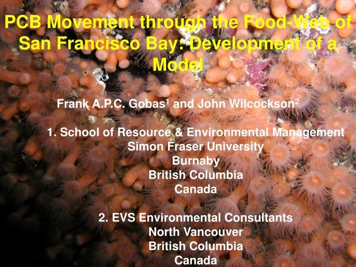 PPT - PCB Movement through the Food-Web of San Francisco Bay ...