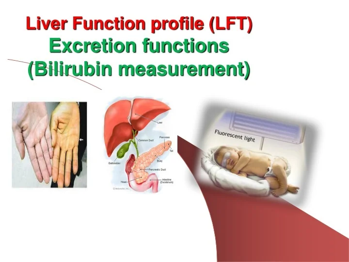 PPT - Liver Function profile (LFT) Excretion functions (Bilirubin ...
