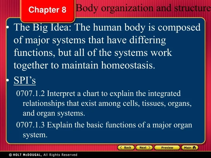 PPT Body Organization And Structure PowerPoint Presentation Free ppt-body-organization-and-structure-powerpoint-presentation-free