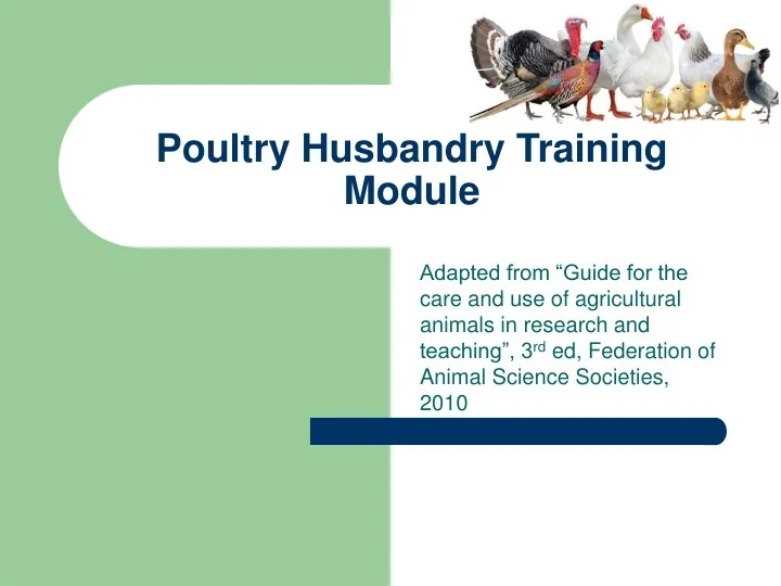 PPT - Poultry Husbandry Training Module PowerPoint Presentation, free ...