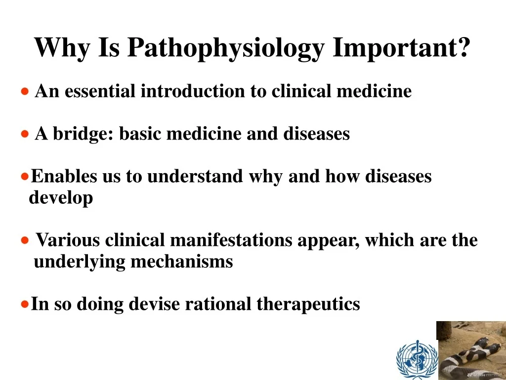 PPT Pathophysiology PowerPoint Presentation Free Download ID 9544190