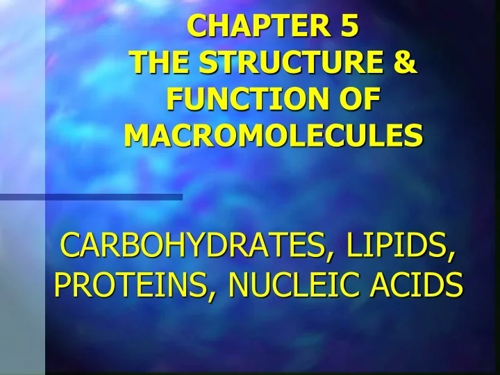 PPT - CHAPTER 5 THE STRUCTURE & FUNCTION OF MACROMOLECULES PowerPoint ...