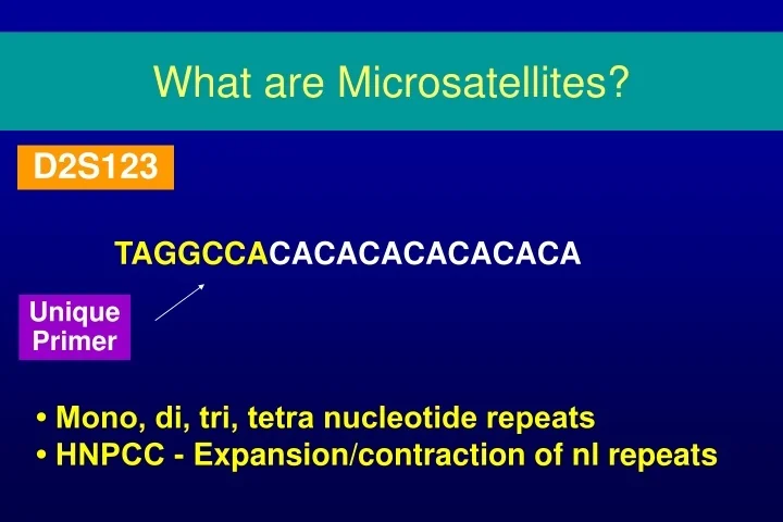 PPT - What are Microsatellites? PowerPoint Presentation, free download ...