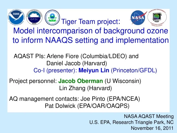 PPT - Tiger Team project : PowerPoint Presentation, free download - ID ...