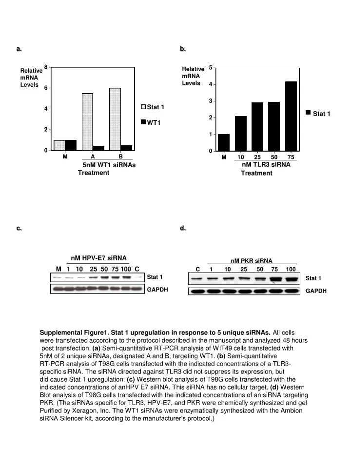 PPT - Relative mRNA Levels PowerPoint Presentation, free download - ID ...