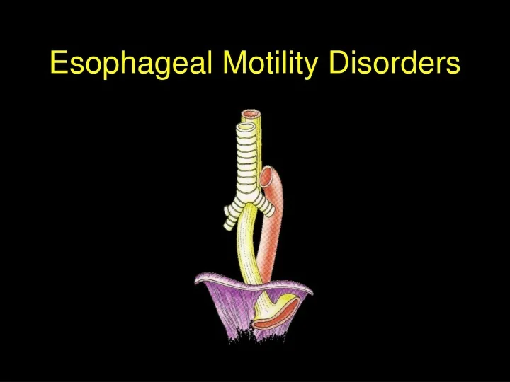 PPT - Esophageal Motility Disorders PowerPoint Presentation, free ...