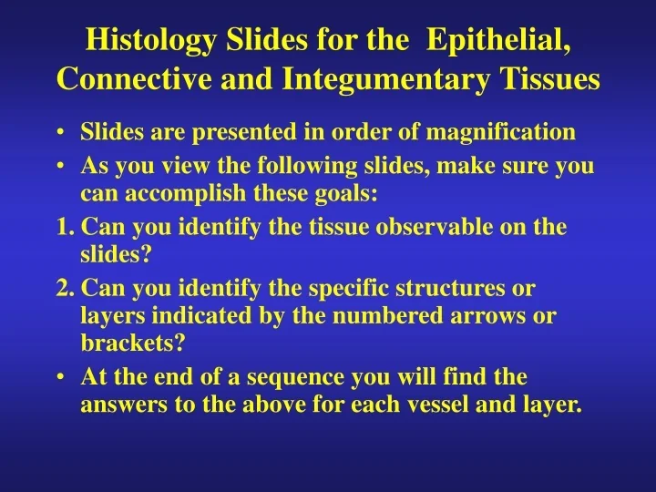 PPT - Histology Slides for the Epithelial, Connective and Integumentary ...